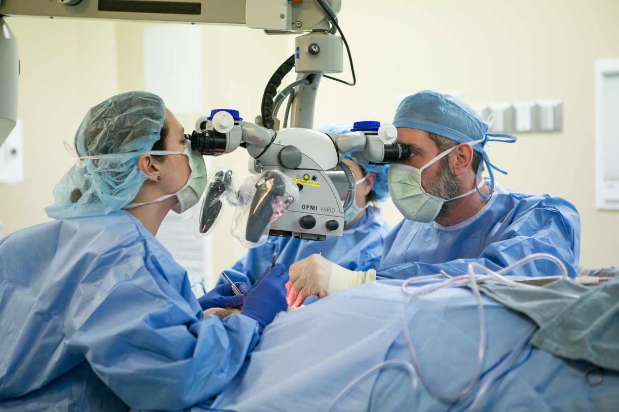 Welcome | Department of Otolaryngology - Head & Neck Surgery